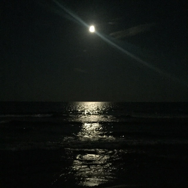 Telegram channel "The Voice of Moon" — @voiceofmoon — TGStat