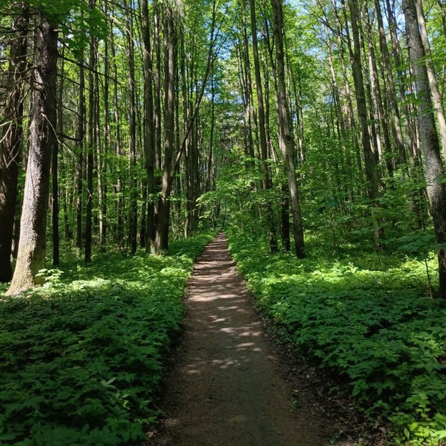 Telegram-канал "Города и Природа" — @vidyrossii — TGStat